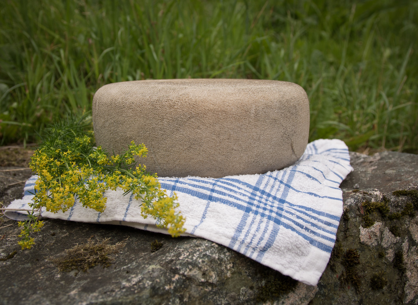 Kvit Undredal, mellomlagra - Ostelandet Norge